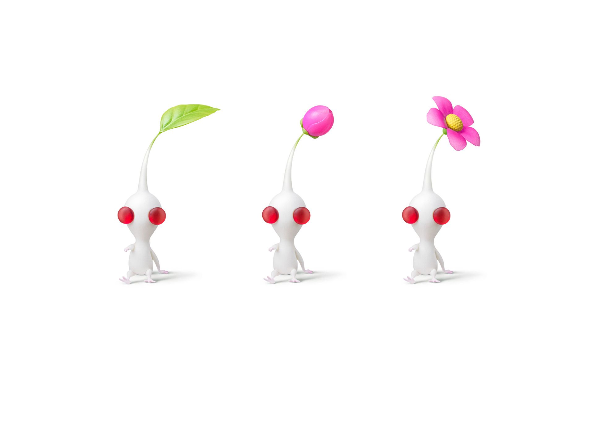List of All Plants and Creatures In Pikmin Bloom