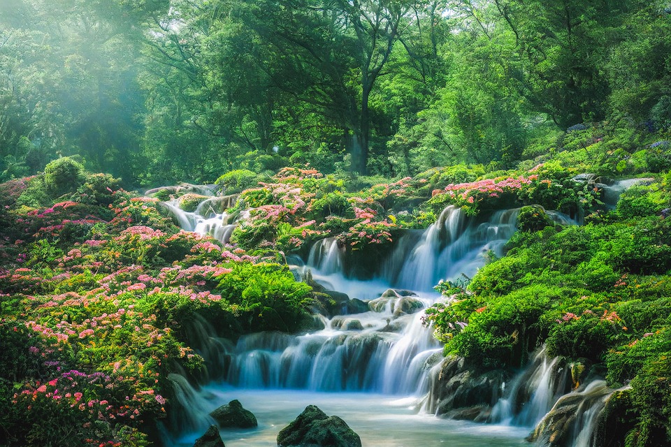 Restoring Image Playground on Your Device: Apple Intelligence Guide