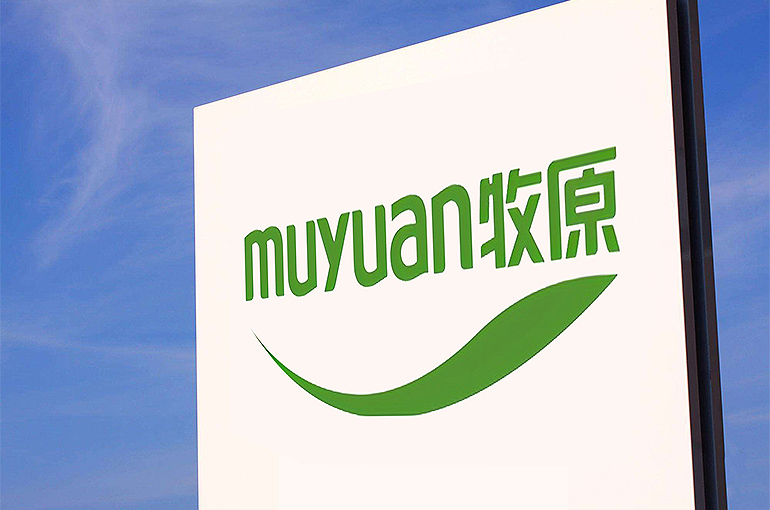 Muyuan Foods Soars as Chinese Pig Breeder Gains from Cost Savings